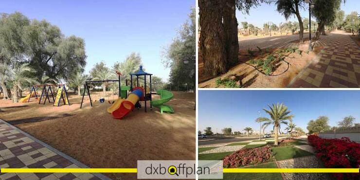 Al Hayer Forest Dubai: Discover the Hidden Oasis in the Desert